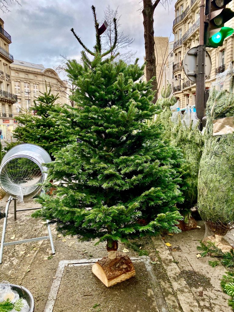 Christmas in Paris: Sapin de Noël - My Paris Christmas Tree - Landen Kerr