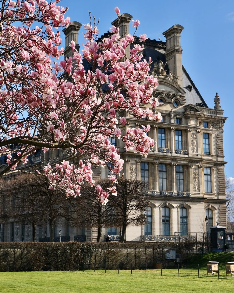Paris in Bloom: Where to See Early Spring Flowers - Landen Kerr
