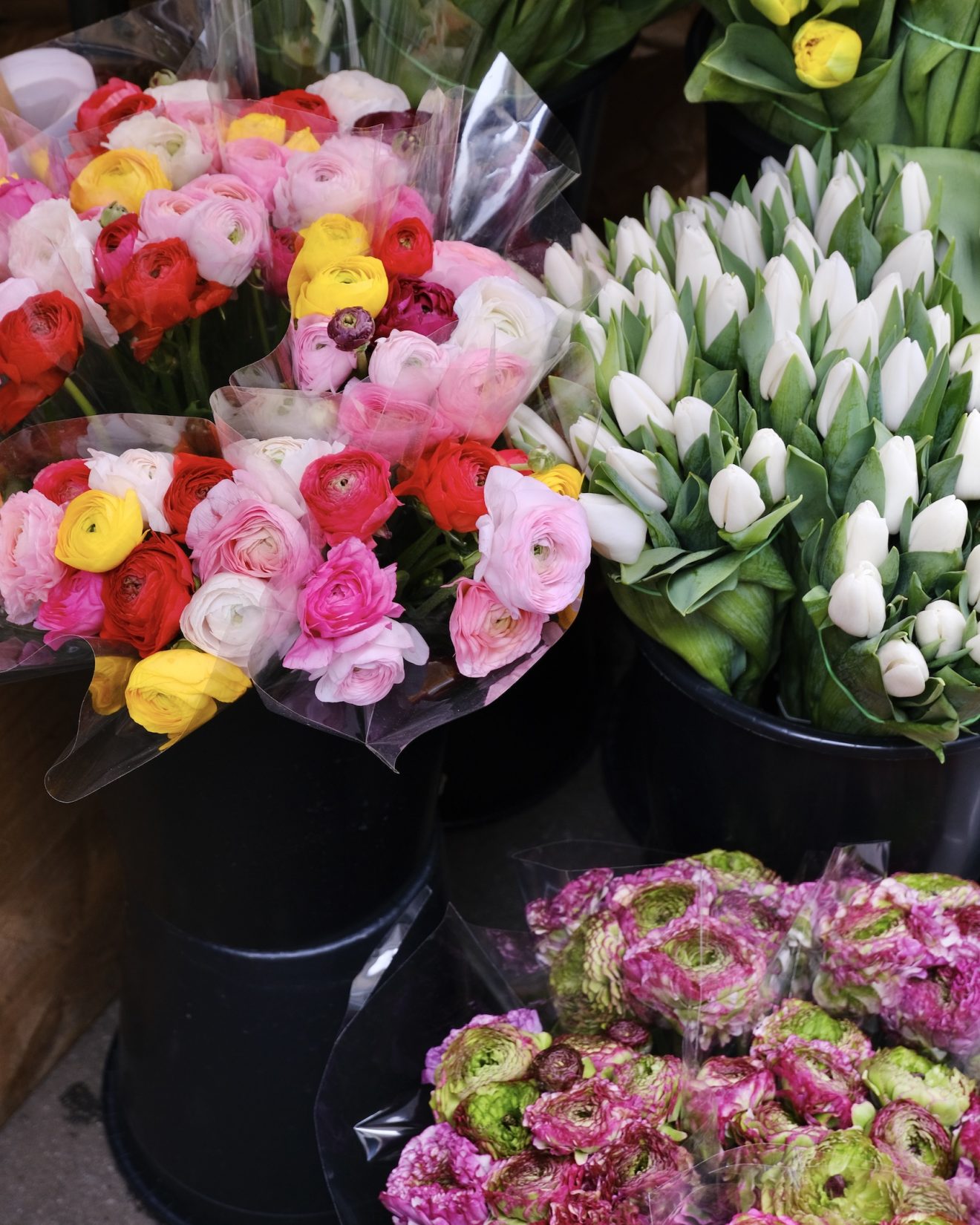 The Best Flowers on Rue du Bac - Paris Flowers - Landen Kerr