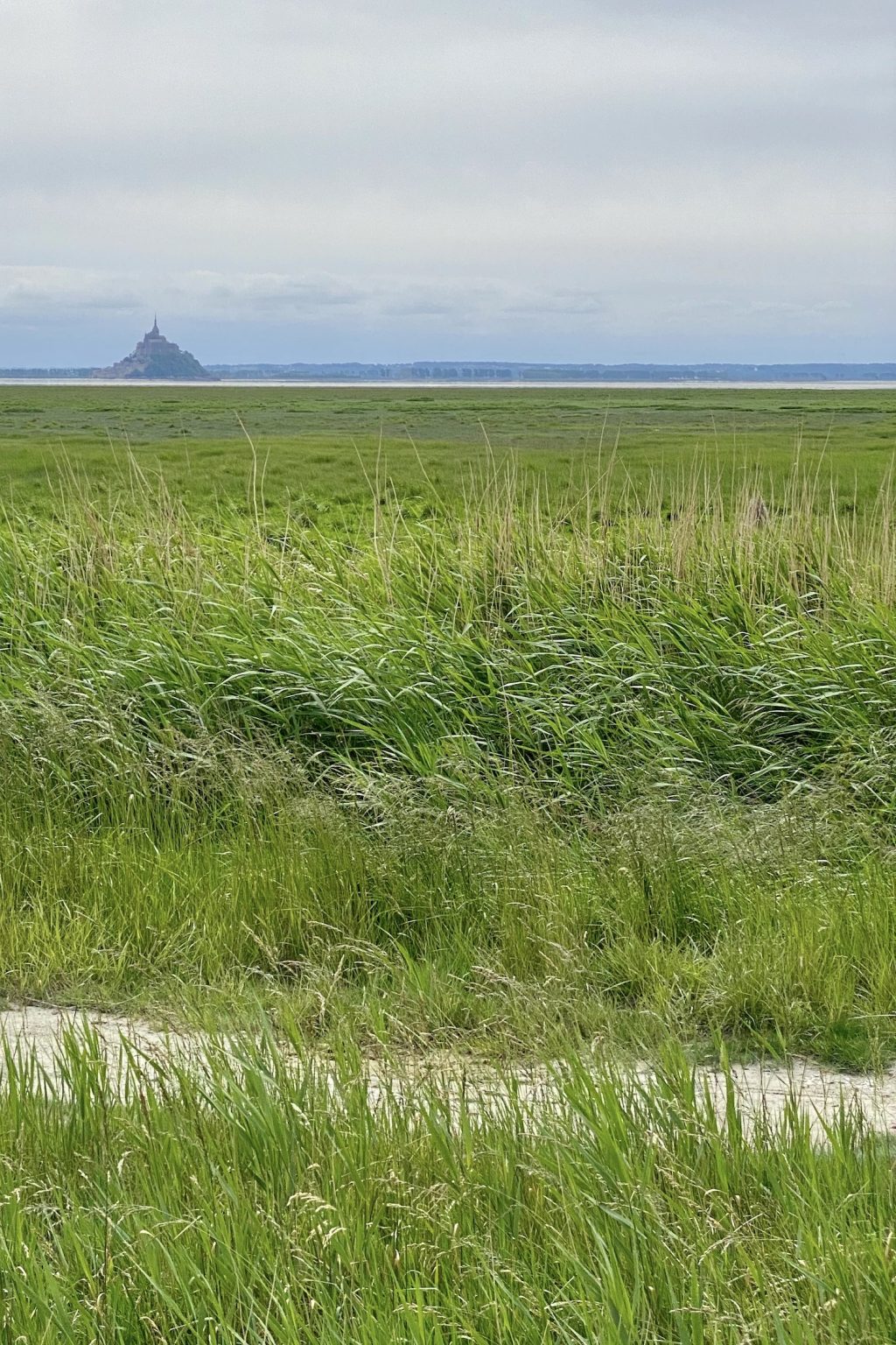 Towns to See in La Manche, Normandy: Genêts - Landen Kerr