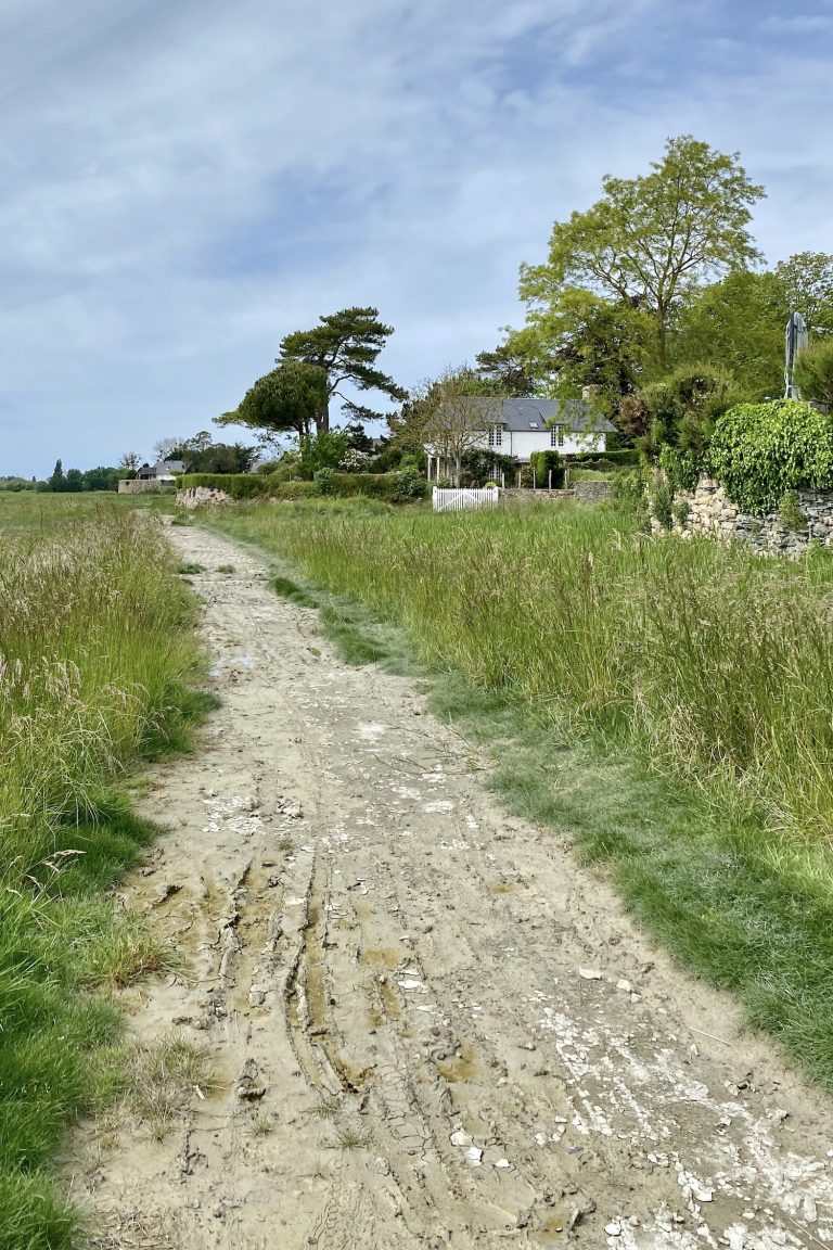 Towns to See in La Manche, Normandy: Genêts - Landen Kerr