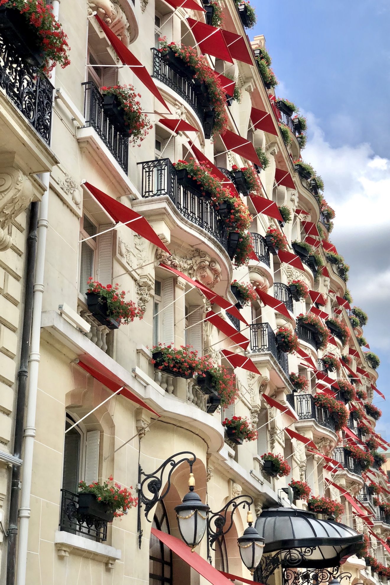 My Own Parisian Window Boxes - Geraniums in Paris - Landen Kerr