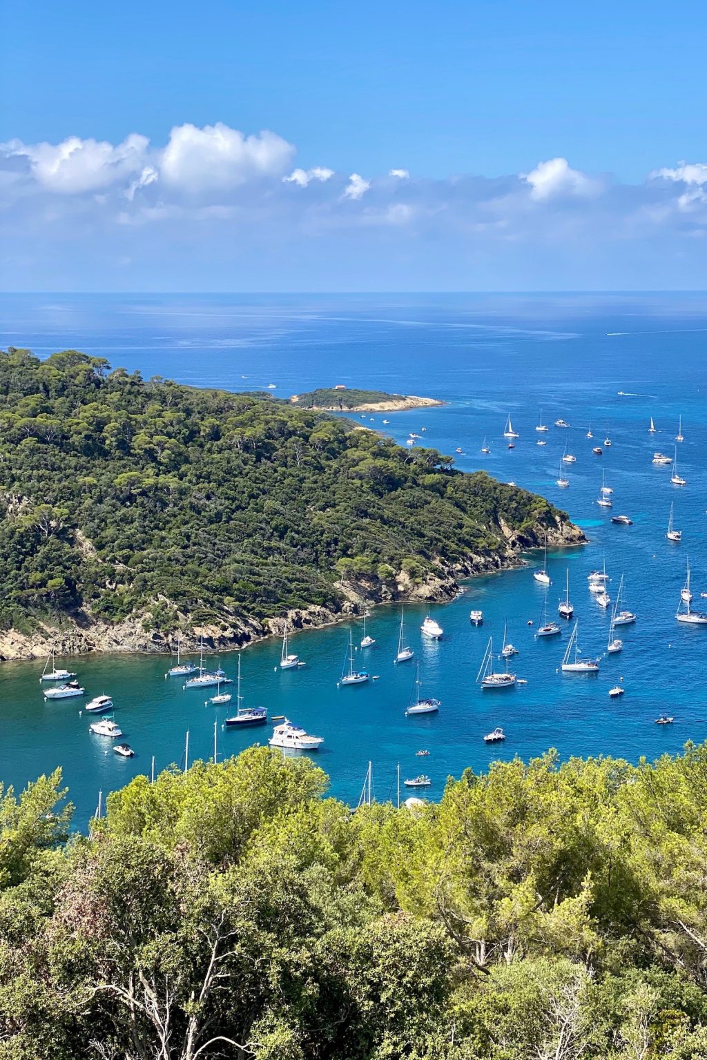 Port Cros Guide: A Côte d'Azur Island Gem - Landen Kerr
