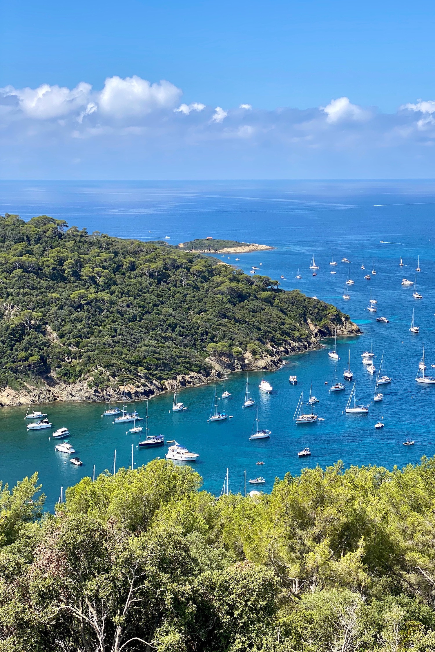 Port Cros Guide: A Côte d'Azur Island Gem - Landen Kerr
