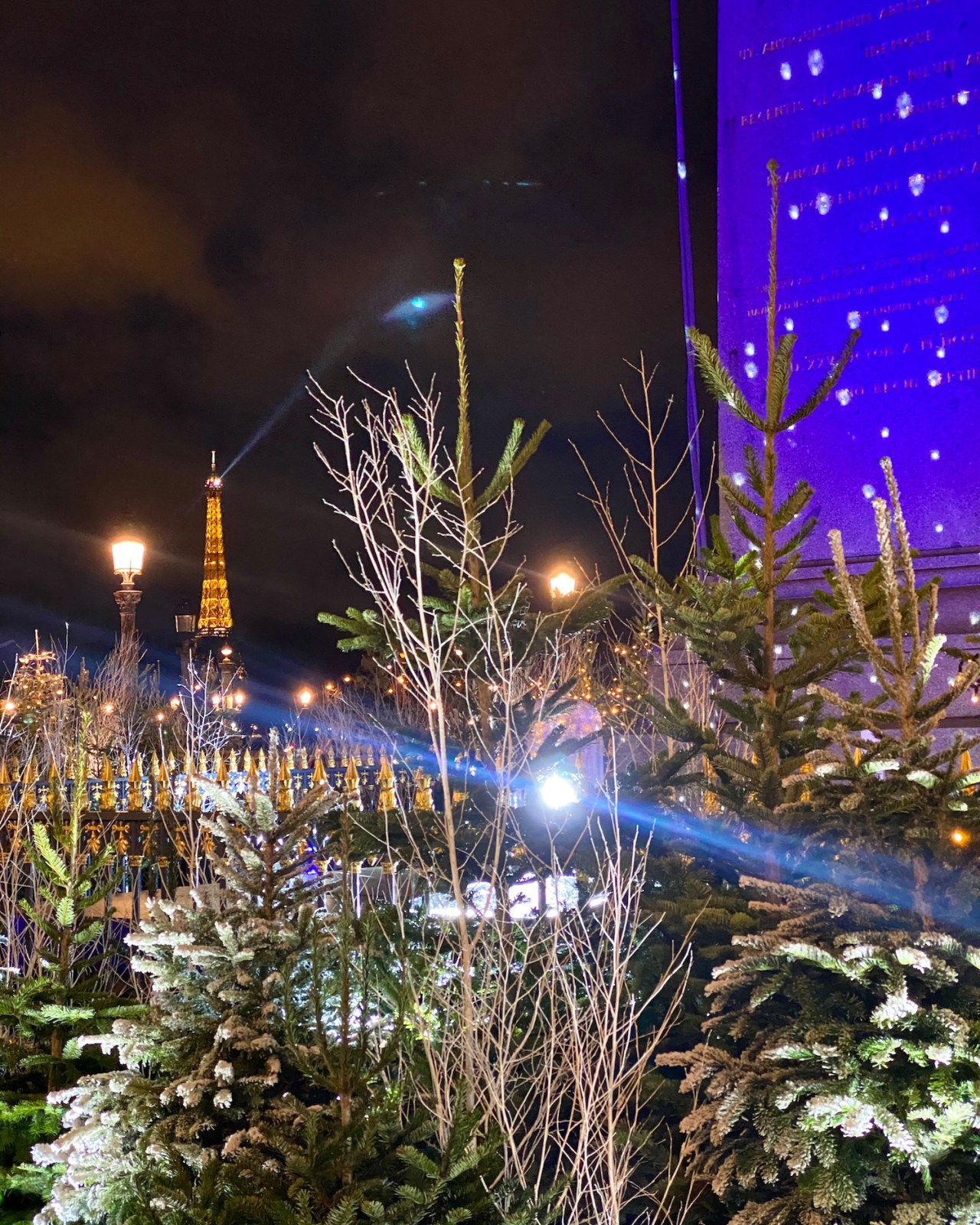 The Most Beautiful Christmas Lights in Paris - Landen Kerr