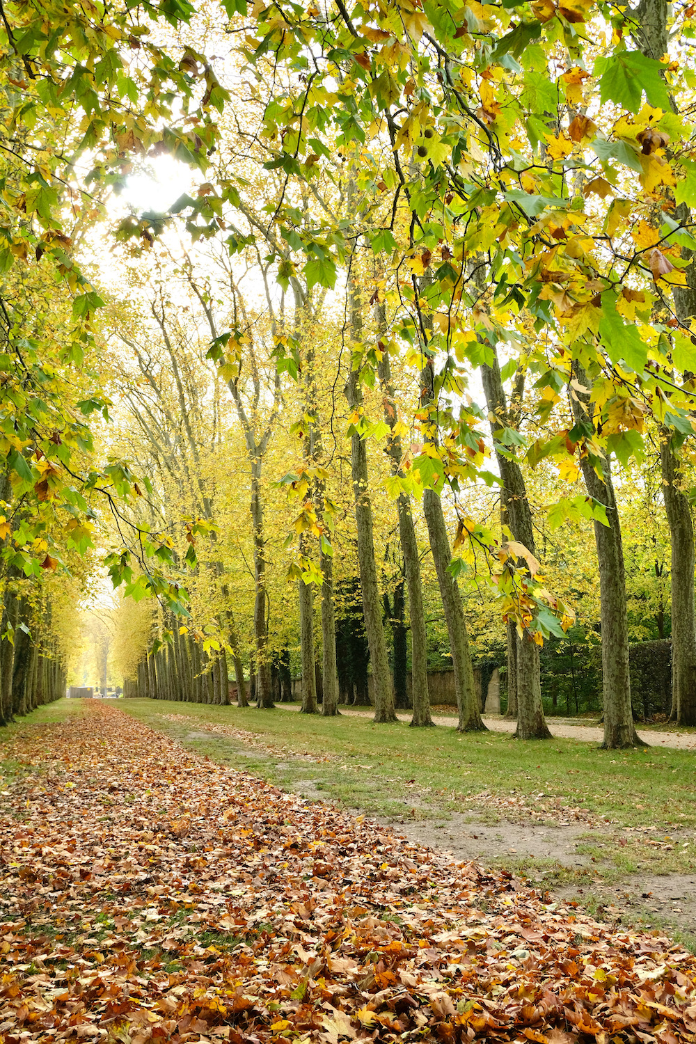 Visiting Château de Versailles in the Fall - Landen Kerr