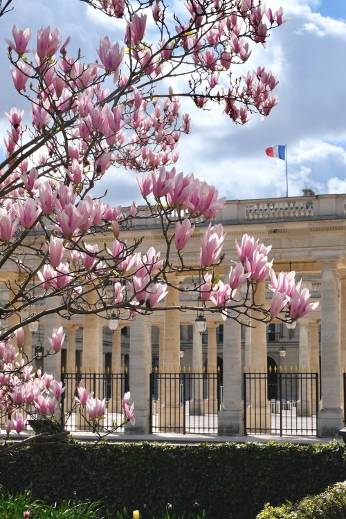 A Walk Through Palais-Royal - Favorite Paris Walks - Landen Kerr