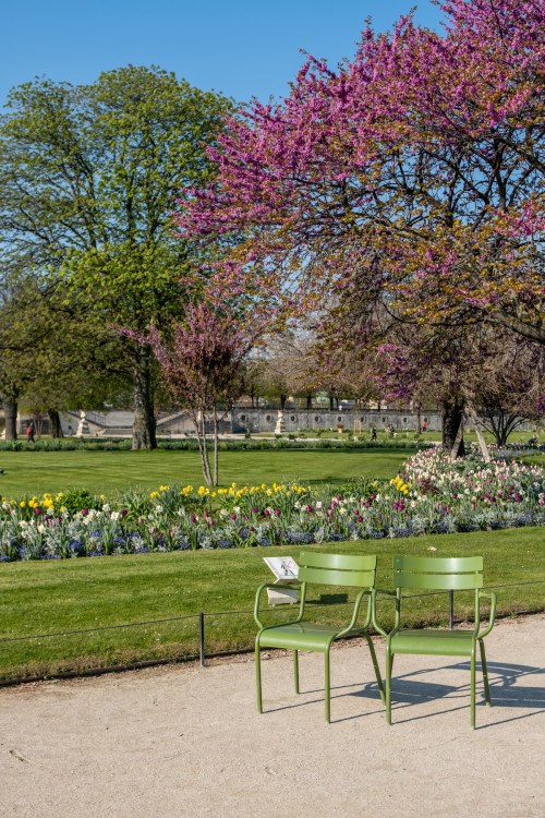 A Walk Through the Tuileries Garden in the Spring | Landen Kerr