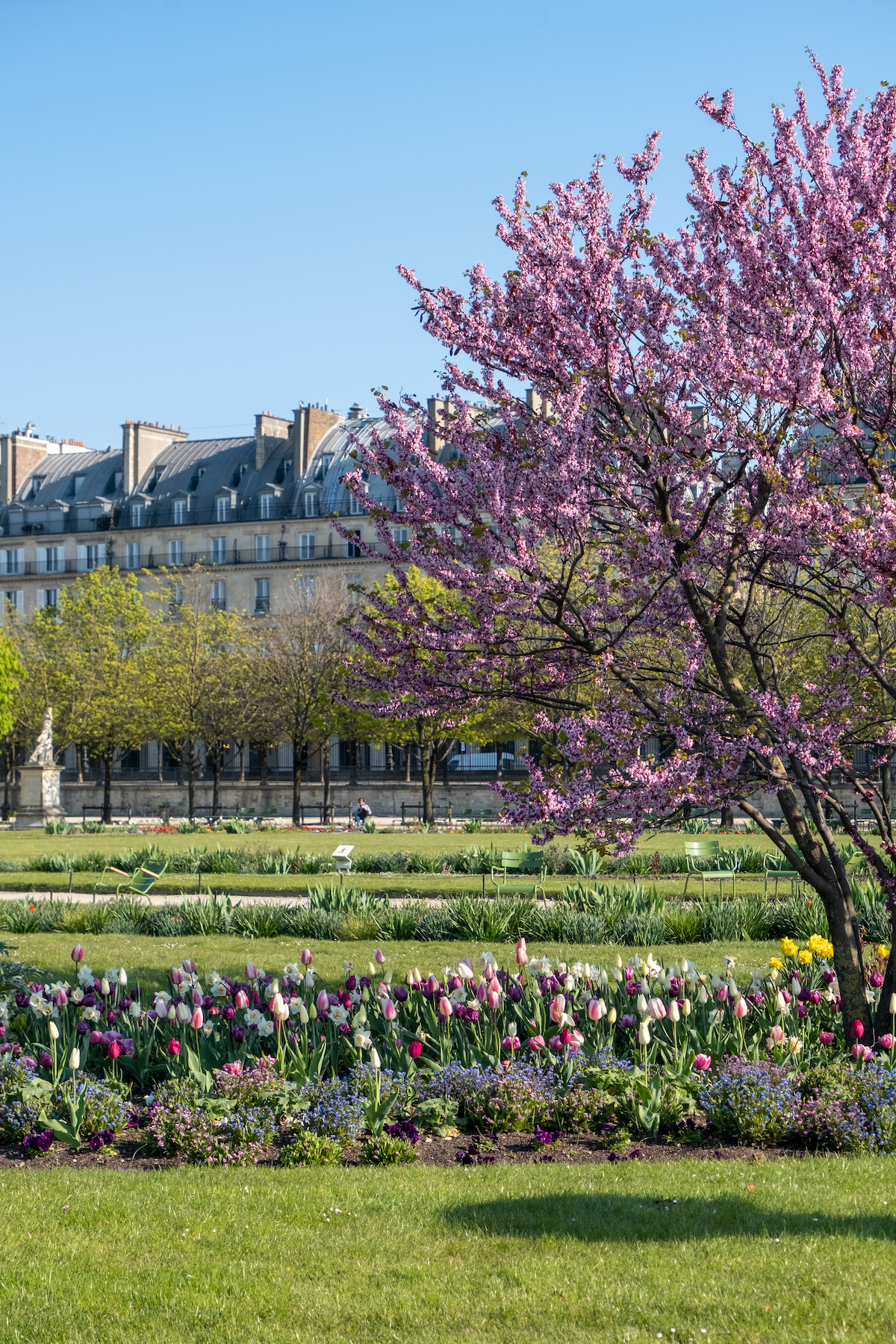 A Walk Through the Tuileries Garden in the Spring - Landen Kerr