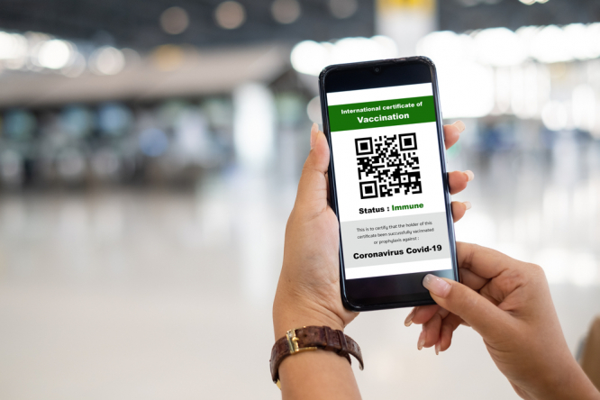 Five Friday Finds from France: August 13th - Landen Kerr